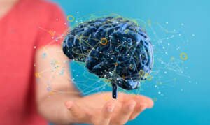 Addiction and the Brain: Neuroplasticity and Healing - European Raptors