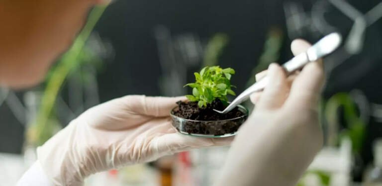 Don’t Consider A-Level Biology A Difficult Subject | Made-Easy Guide ...