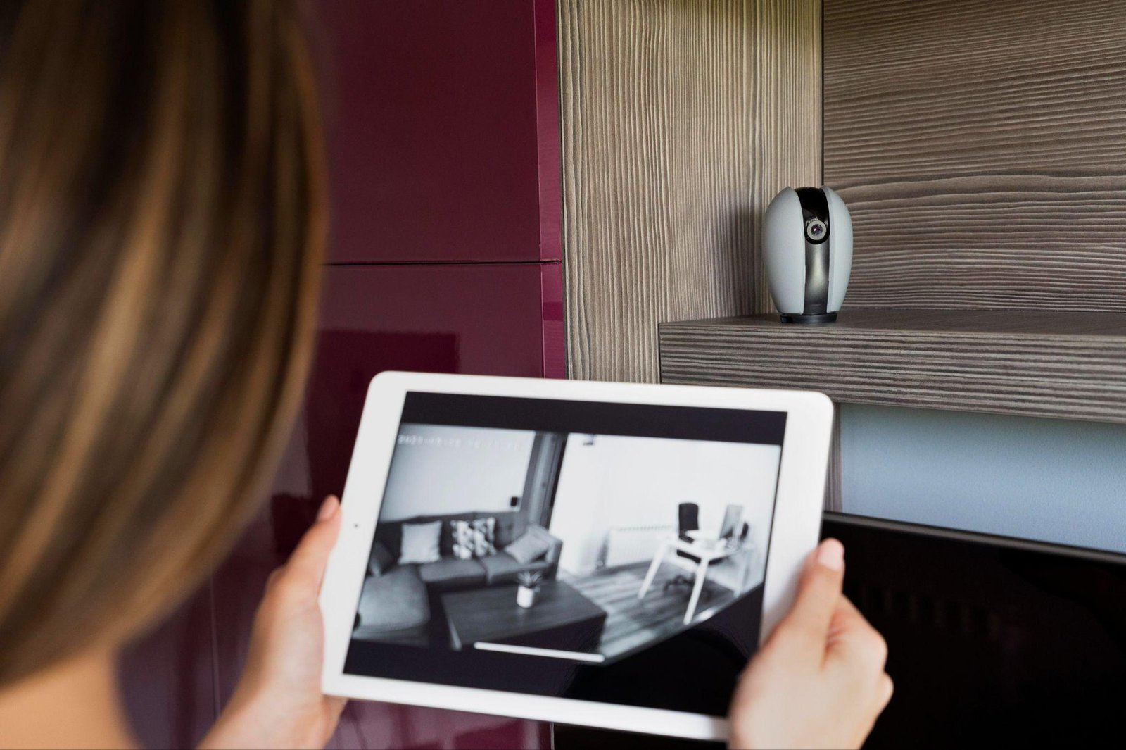 Setting Up IP Camera Software: A Step-by-Step Guide - European Raptors