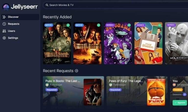 Exploring Jellyseerr: Streamlining Media Management with Ease - European Raptors